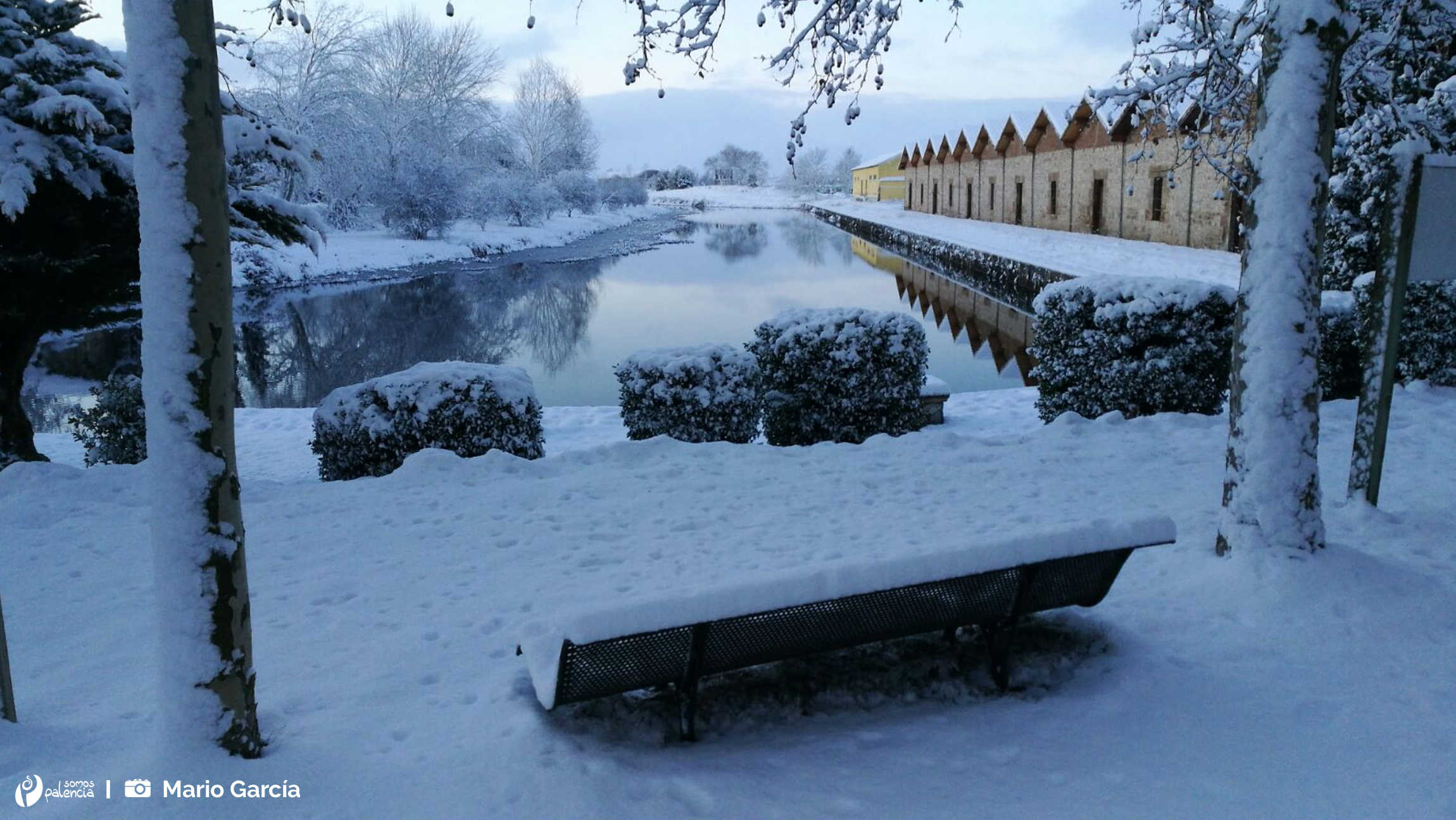 Vuelve la nieve a la Montaña Palentina | Galería Fotográfica
