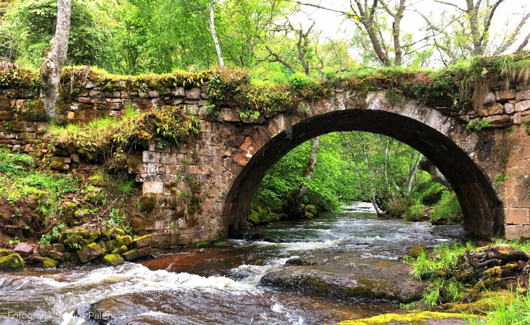 Montaña Palentina | Qué hacer, turismo, ocio y rutas