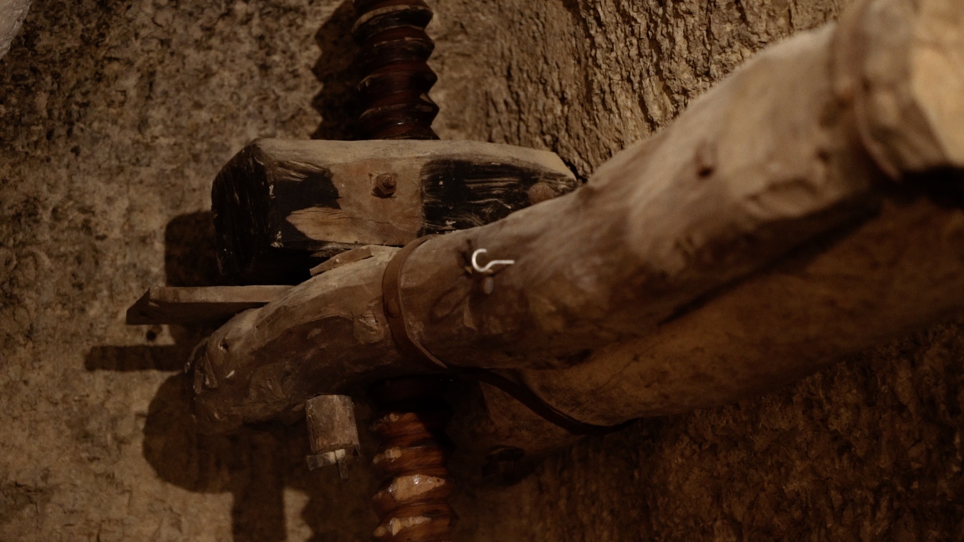 El Cerrato Palentino en FITUR 2020