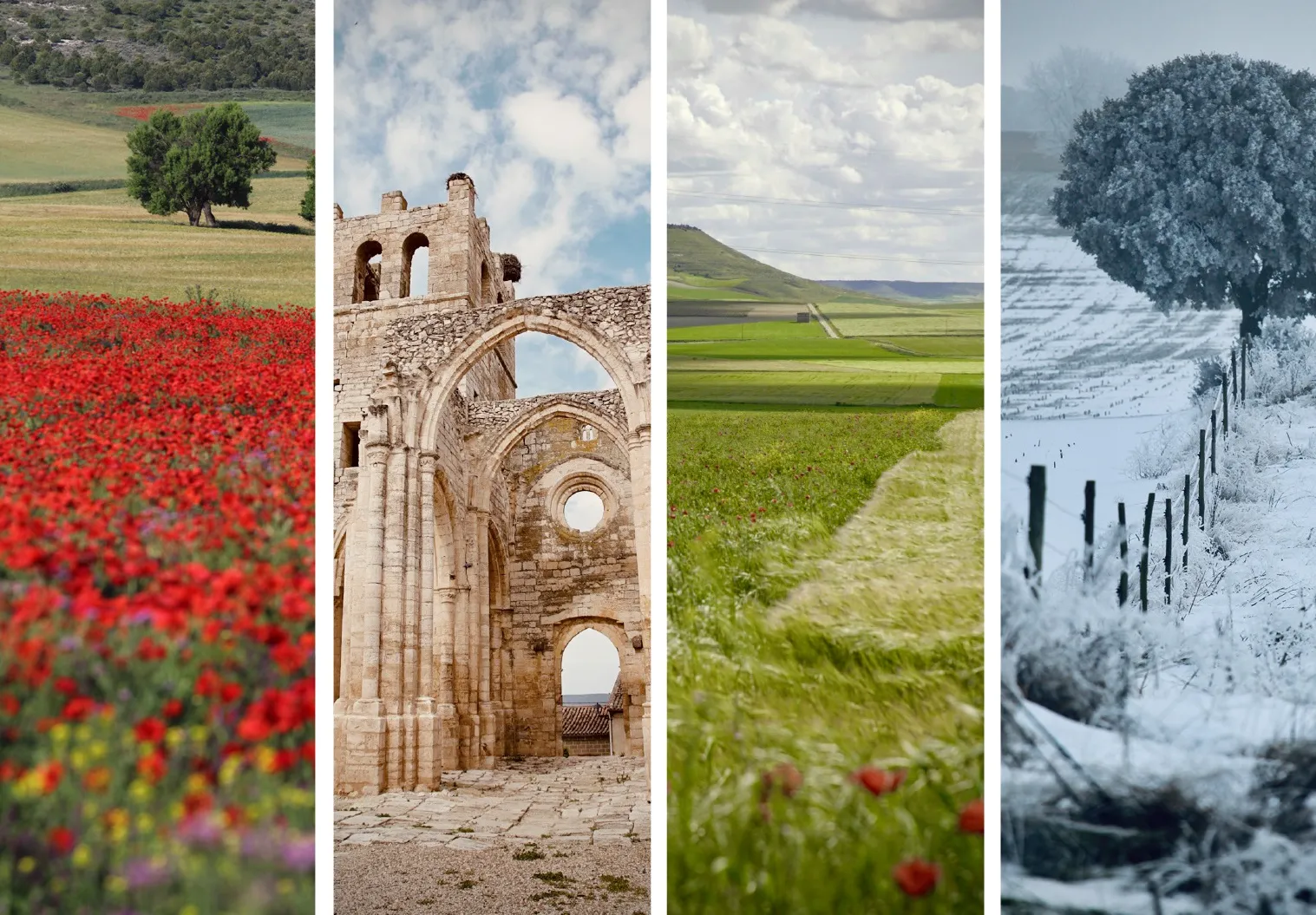 El Cerrato Palentino como destino de rodajes cinematográficos